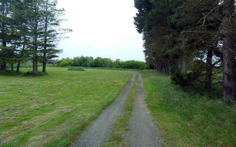 Aparima Bridge River Bank | Freedom/Basic Camp | New Zealand